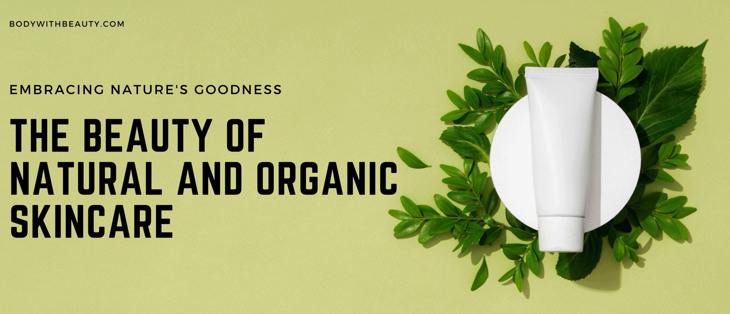Embracing Nature's Goodness: The Beauty of Natural and Organic Skincare ...